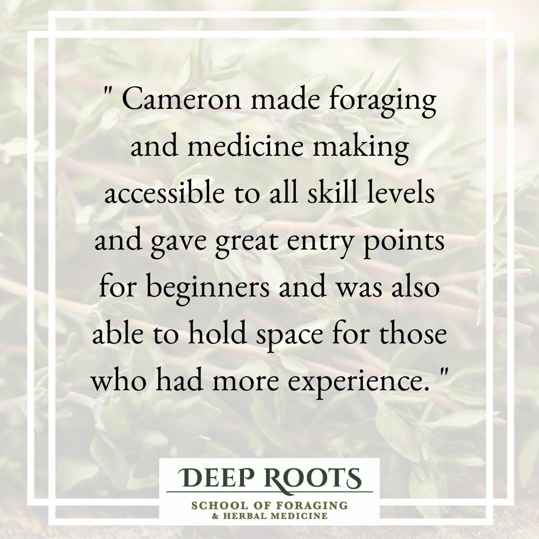 The Deep Roots School of Foraging & Herbal Medicine