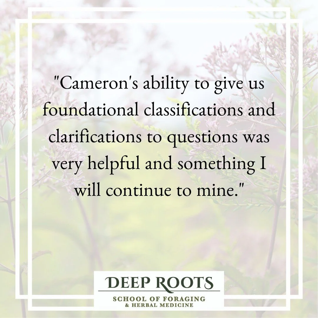 The Deep Roots School of Foraging & Herbal Medicine