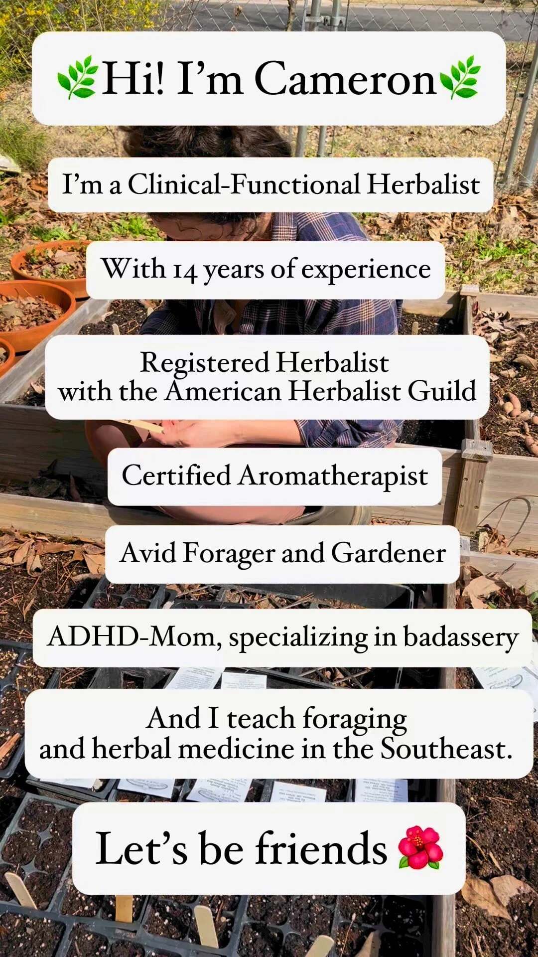 The Deep Roots School of Foraging & Herbal Medicine