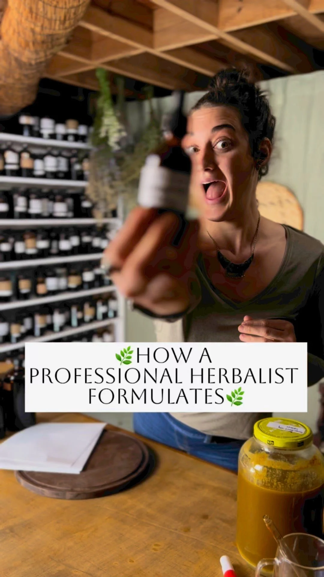 The Deep Roots School of Foraging & Herbal Medicine