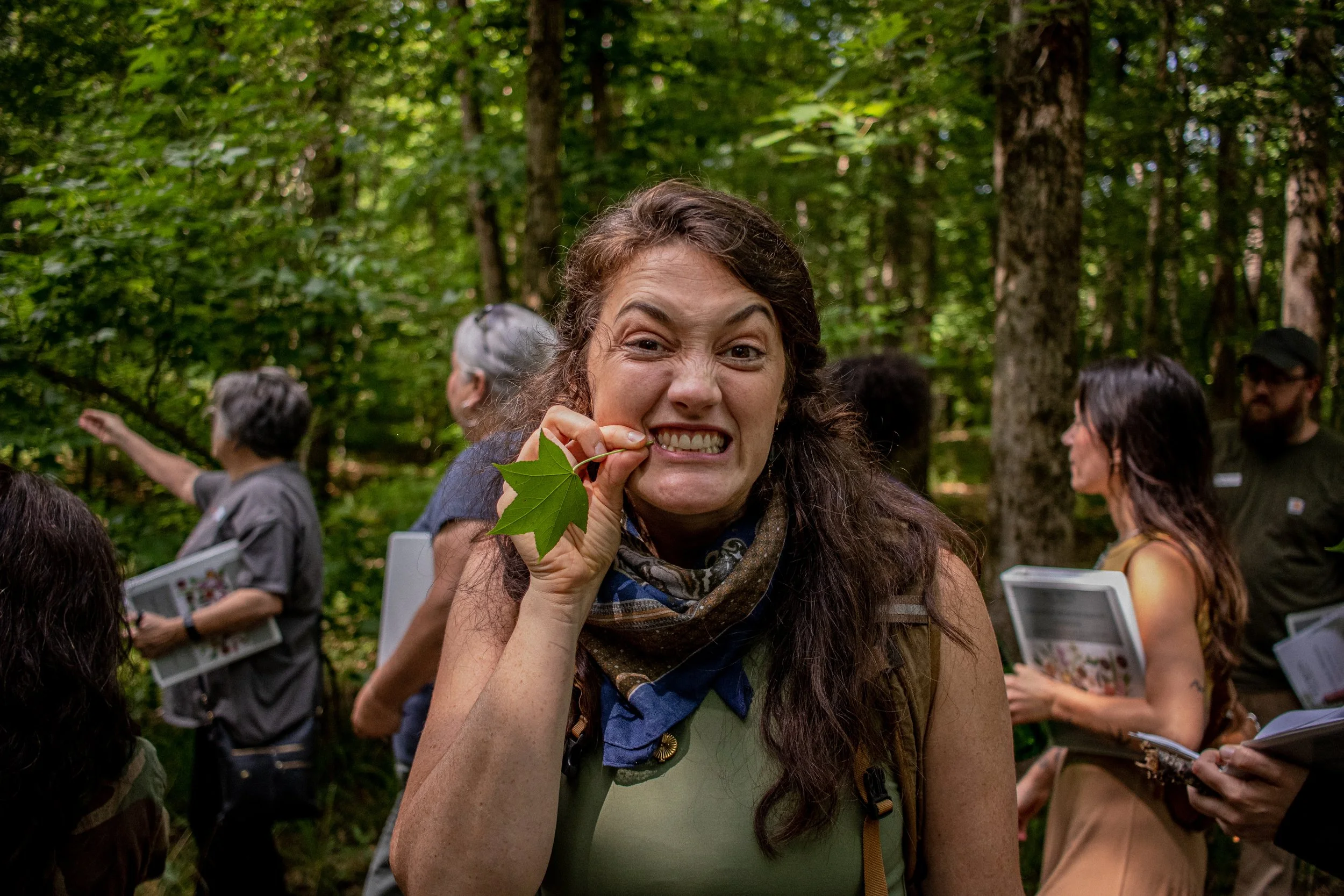 The Deep Roots School of Foraging & Herbal Medicine