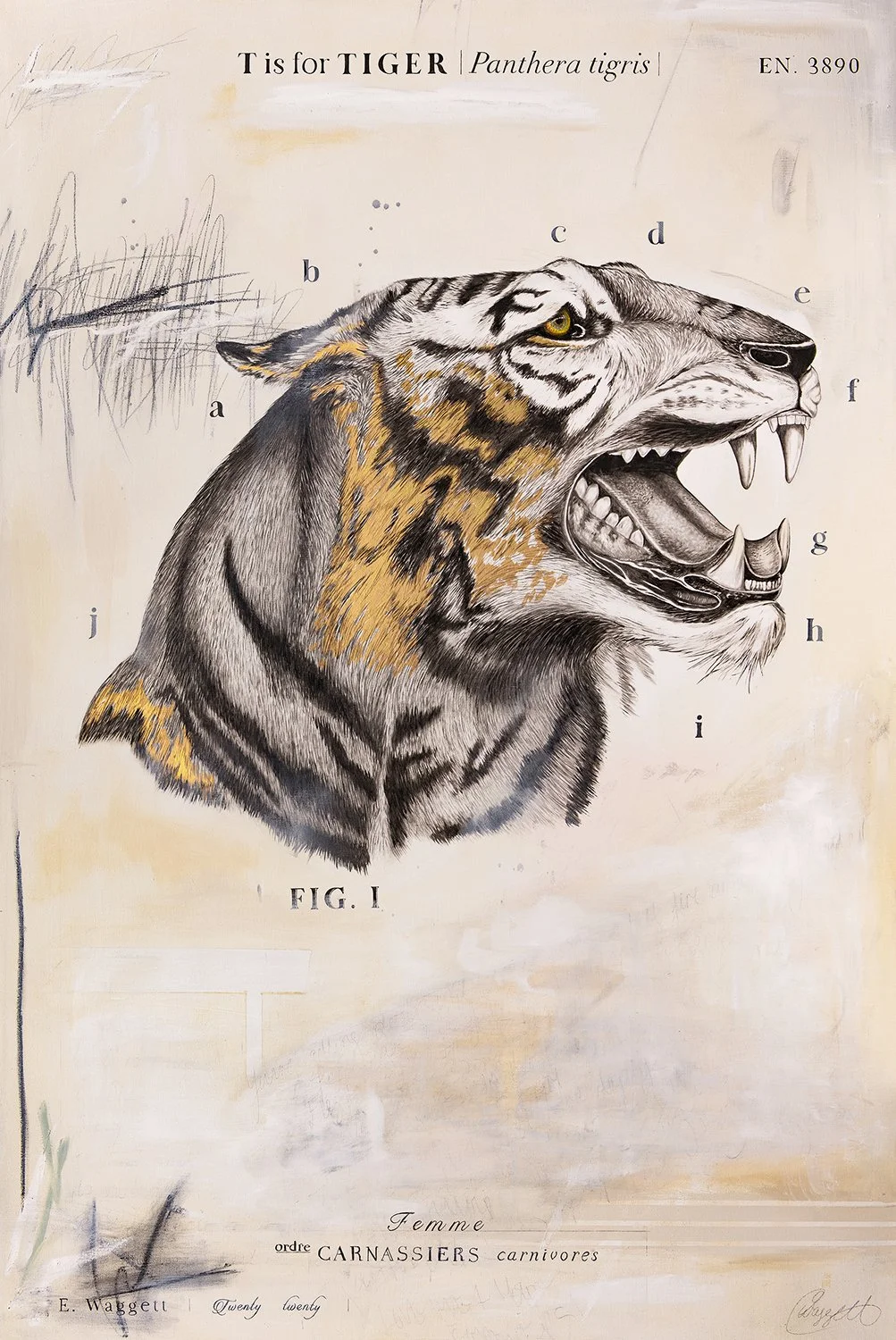 Artwork — Elizabeth Waggett Studio