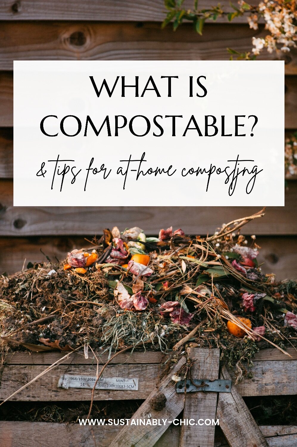 What is Compostable? & Easy Tips for Composting — Sustainably Chic