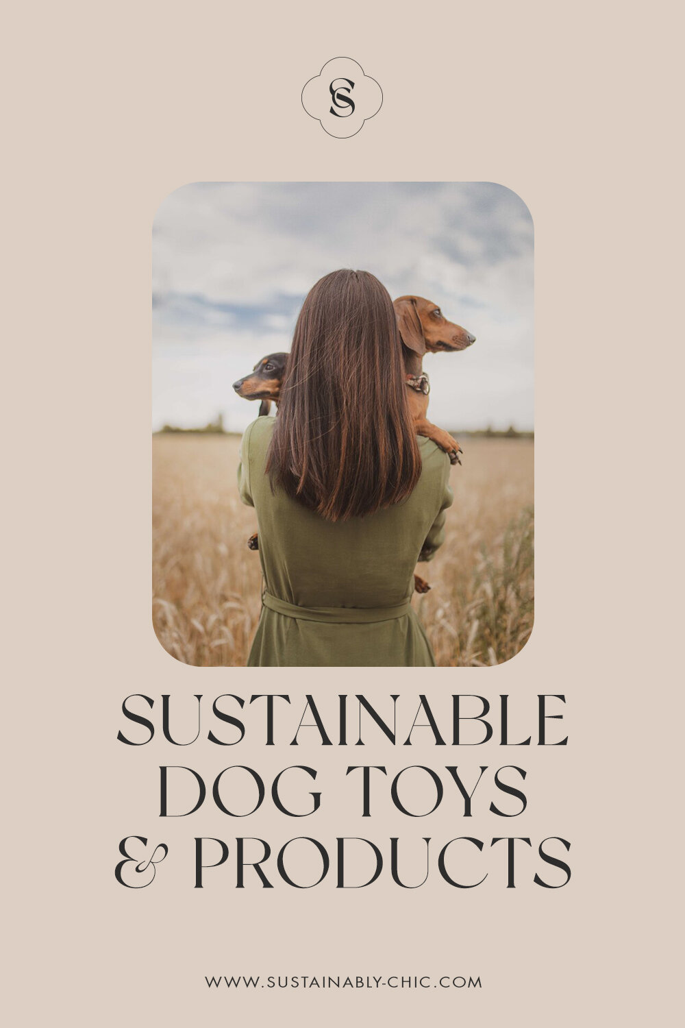 11 Eco-friendly Toys and Products That You and Your Dog Will Love ...