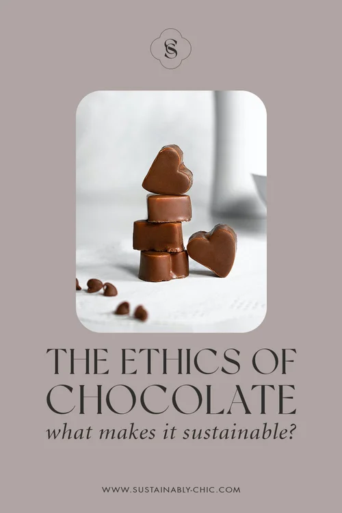 The Ethics of Chocolate: What You Need to Know to Buy Sustainable ...