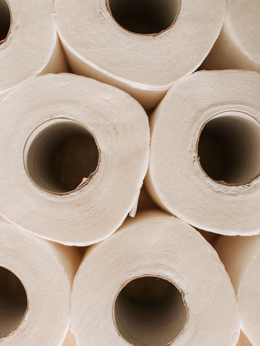 9 Sustainable Toilet Paper Brands For Your Sweet Cheeks — Sustainably Chic