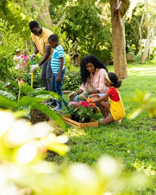 10 Sustainable Gardening Tips To Transform Your Green Thumb ...