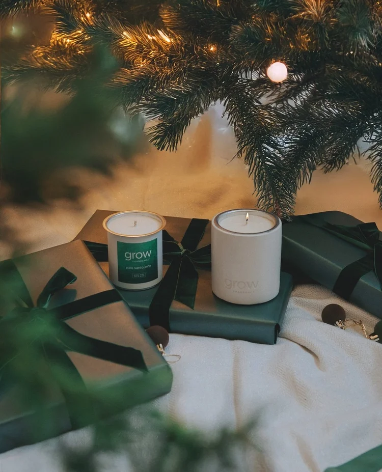 10 Planet-Loving Gifts for Environmentalists (2024) — Sustainably Chic