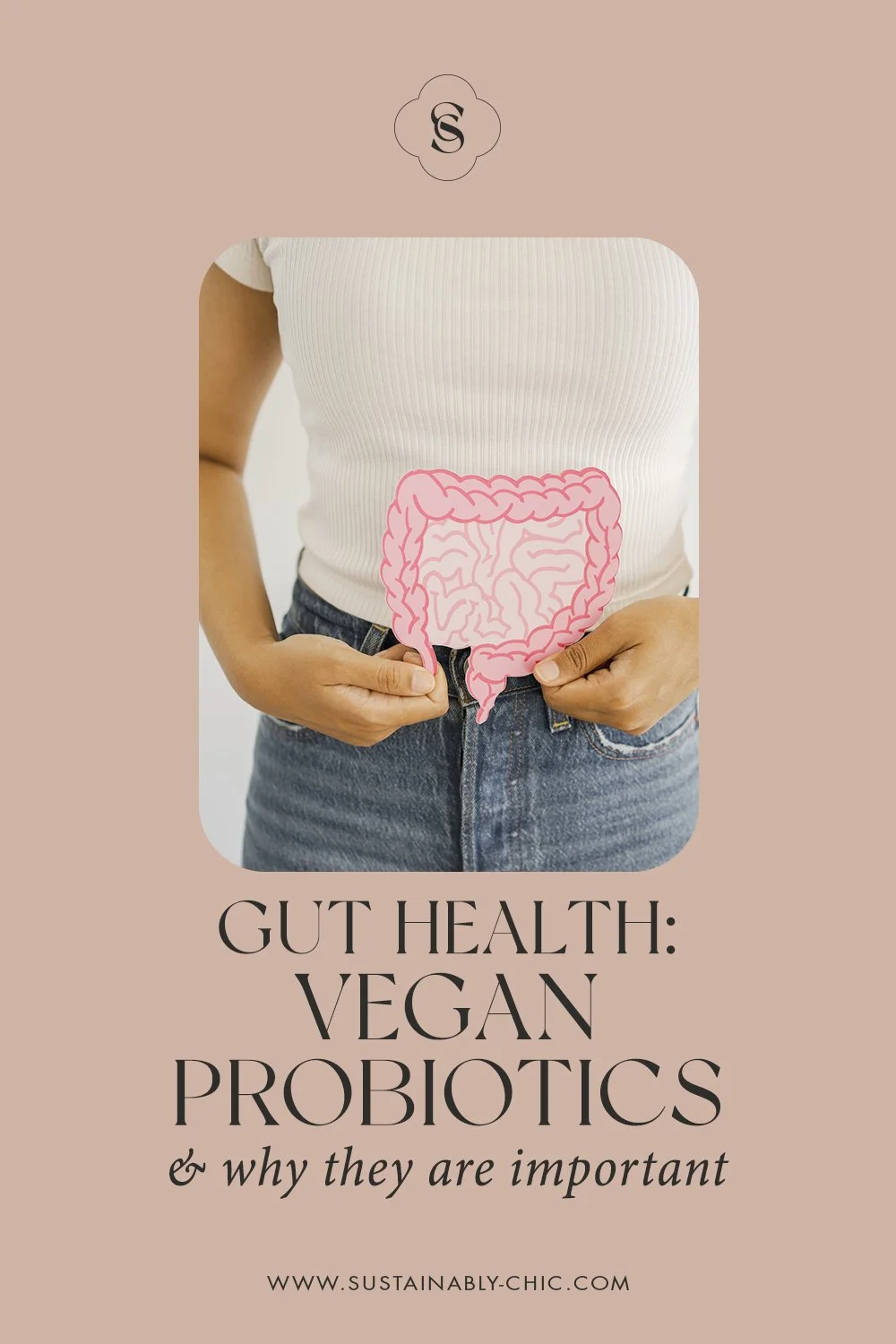 Gut health: The Importance of Probiotics and Vegan Sources ...