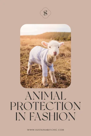 An Introduction to Animal Protection in Fashion — Sustainably Chic