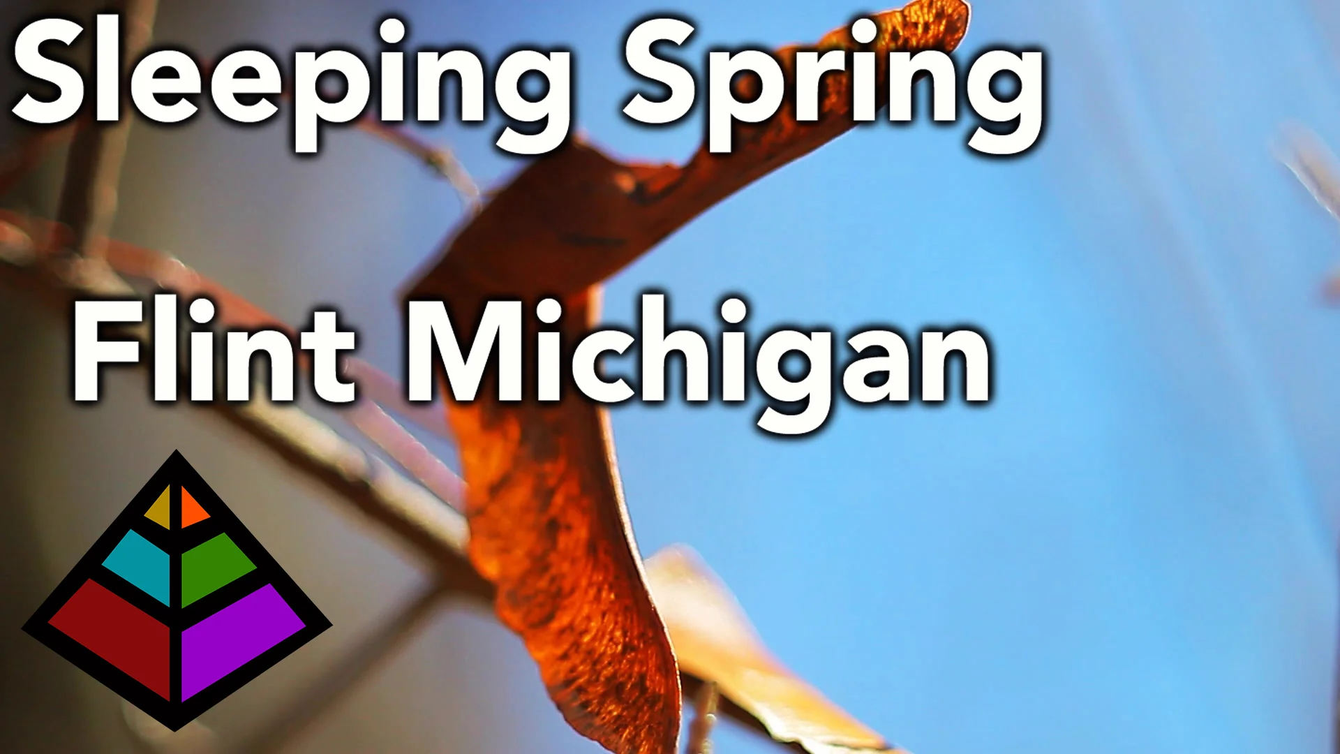 Sleeping Spring sample photograph 77 — photations