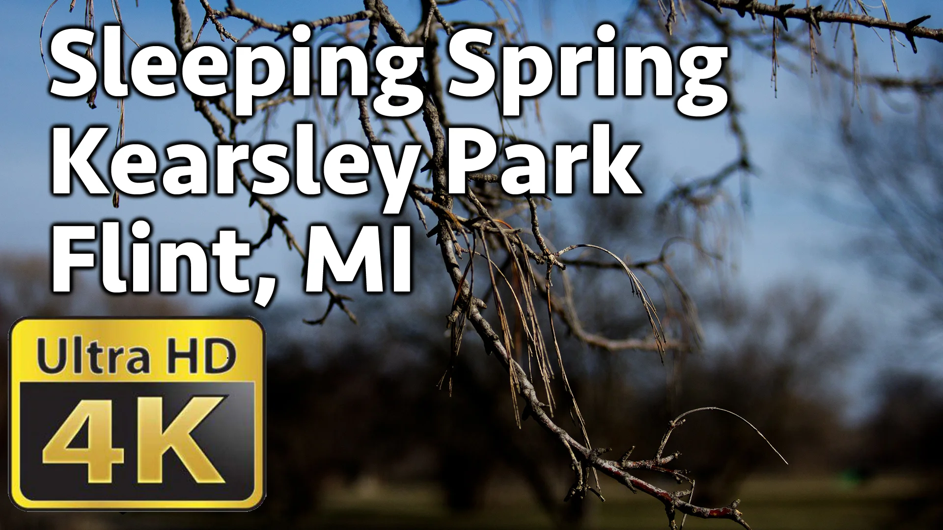 Sleeping Spring sample photograph 77 — photations