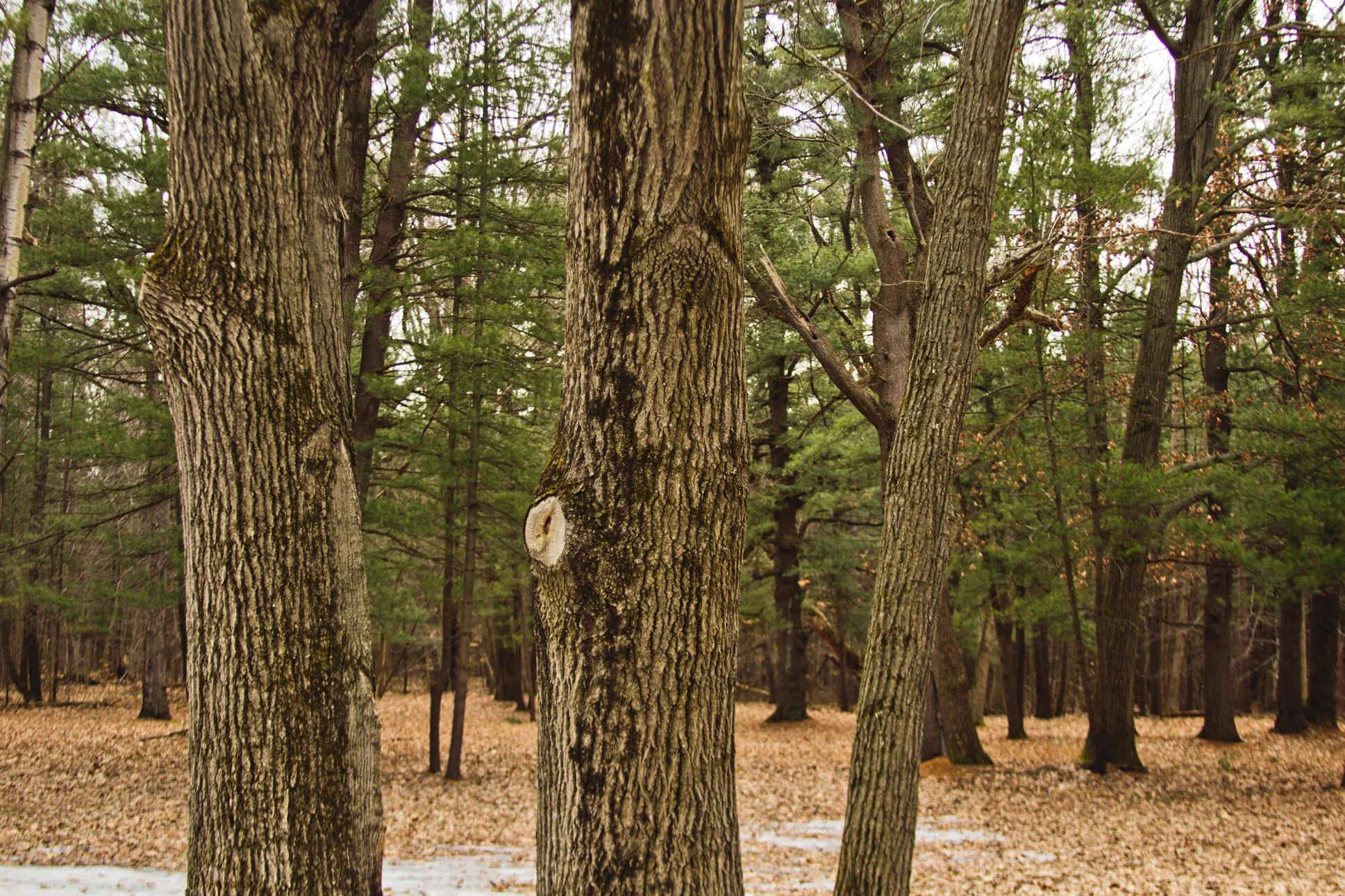 Sleeping Spring sample photograph 77 — photations