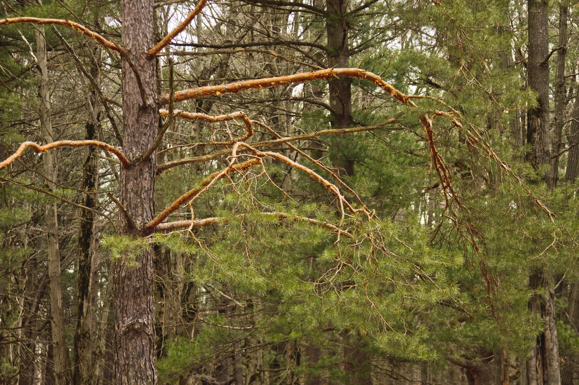 Sleeping Spring sample photograph 77 — photations