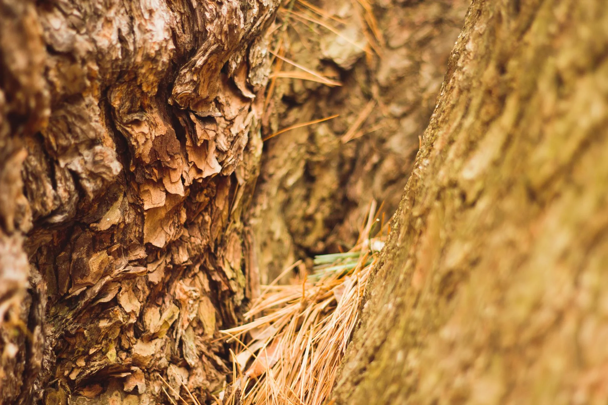 Sleeping Spring sample photograph 70 — photations