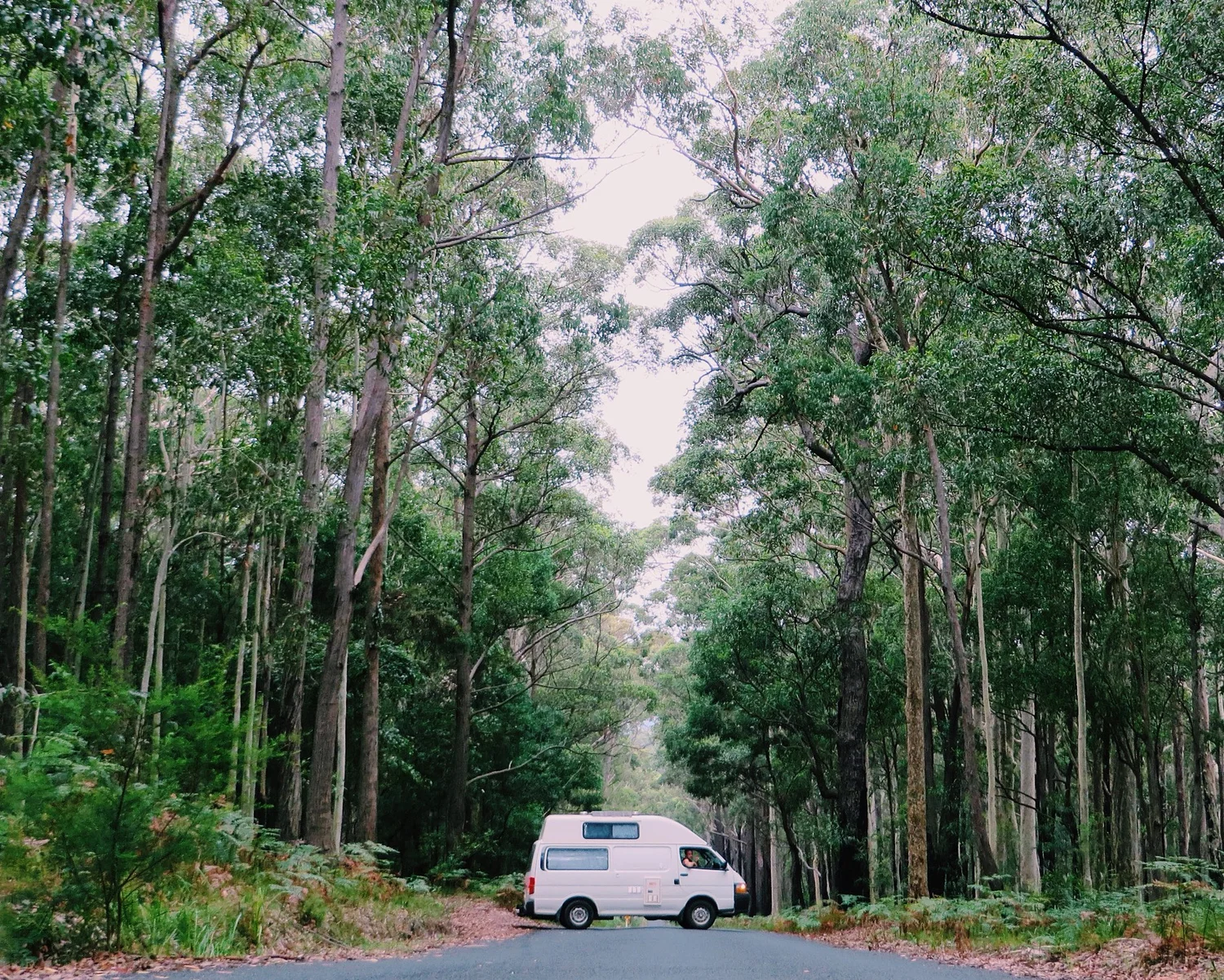 Ele & Sam — Vanlife