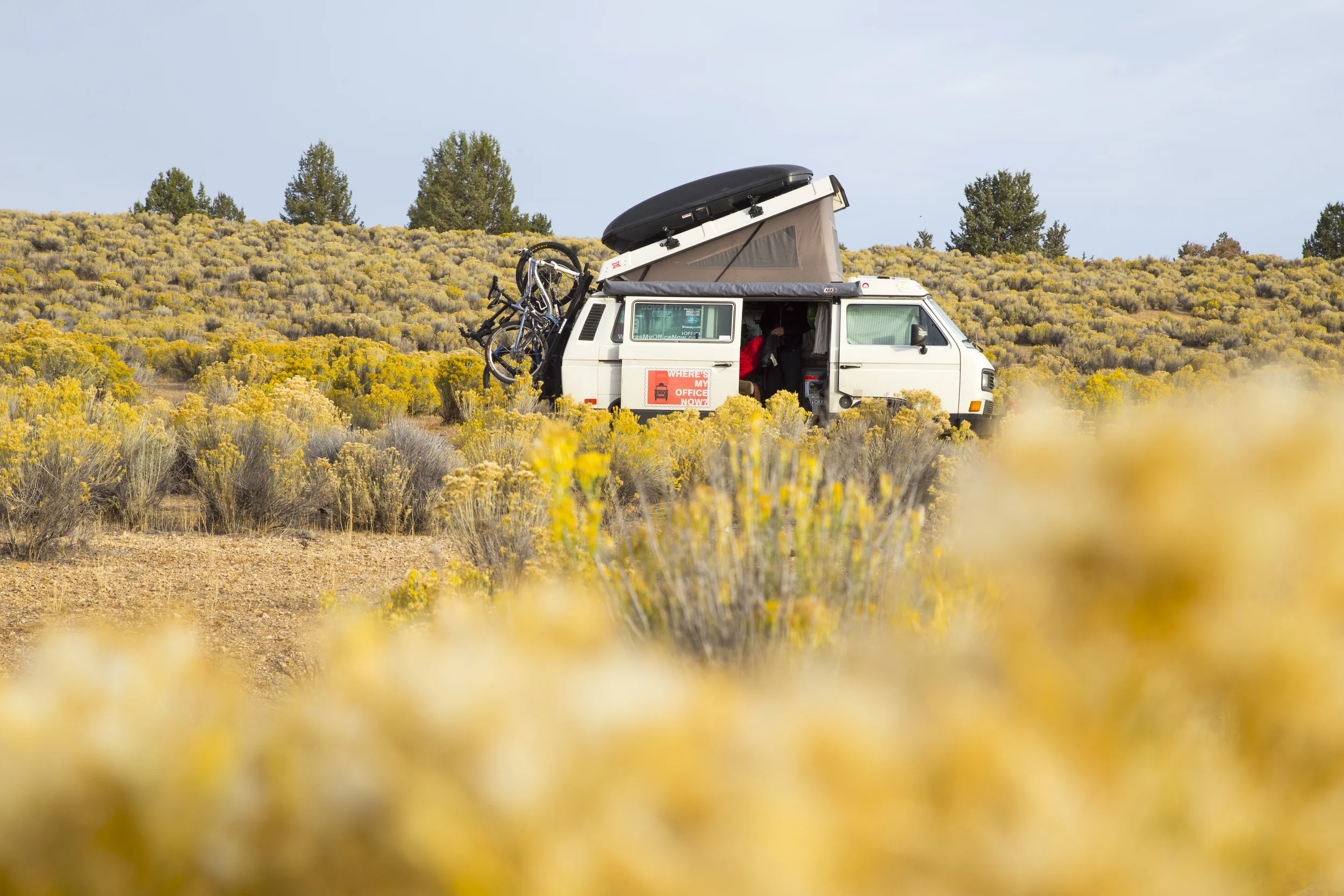 Emily & Corey — Vanlife