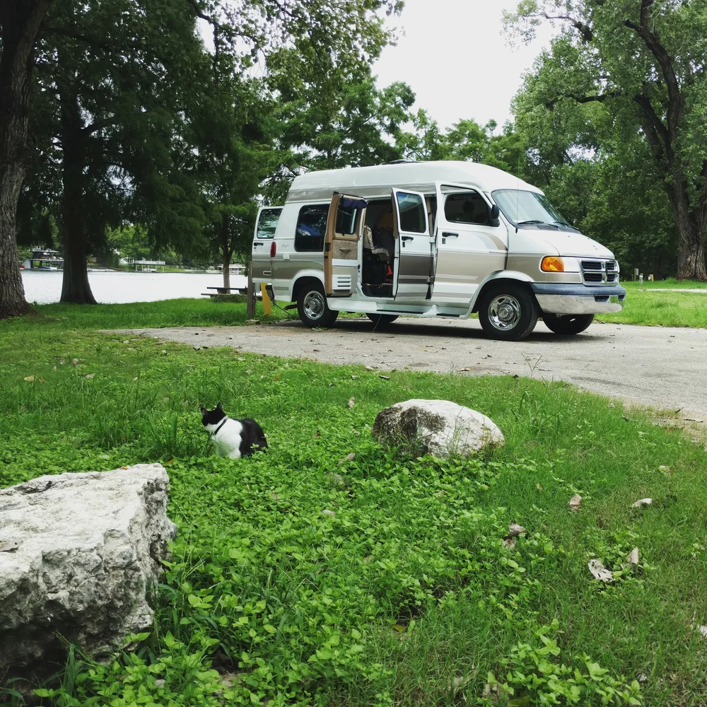 Guide to Vanlife with Cats — Vanlife
