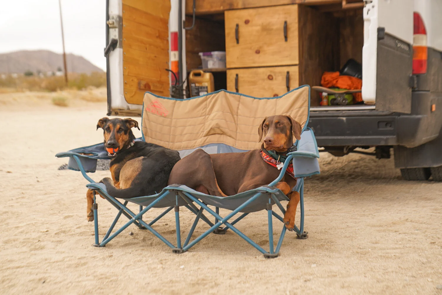 Vanlife Diaries 2020 Holiday Gift Guide — Vanlife