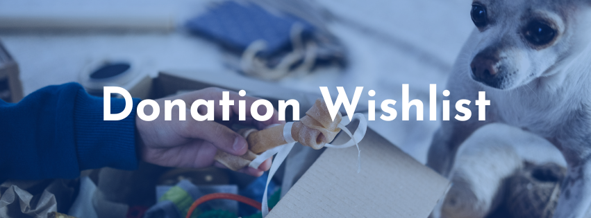 Donation Wishlist — noah's ark