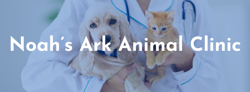 Noah's Ark Animal Clinic — noah's ark