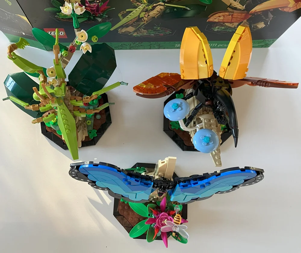 Set Review - #21342-1: The Insect Collection - LEGO Idea — Bricks for ...