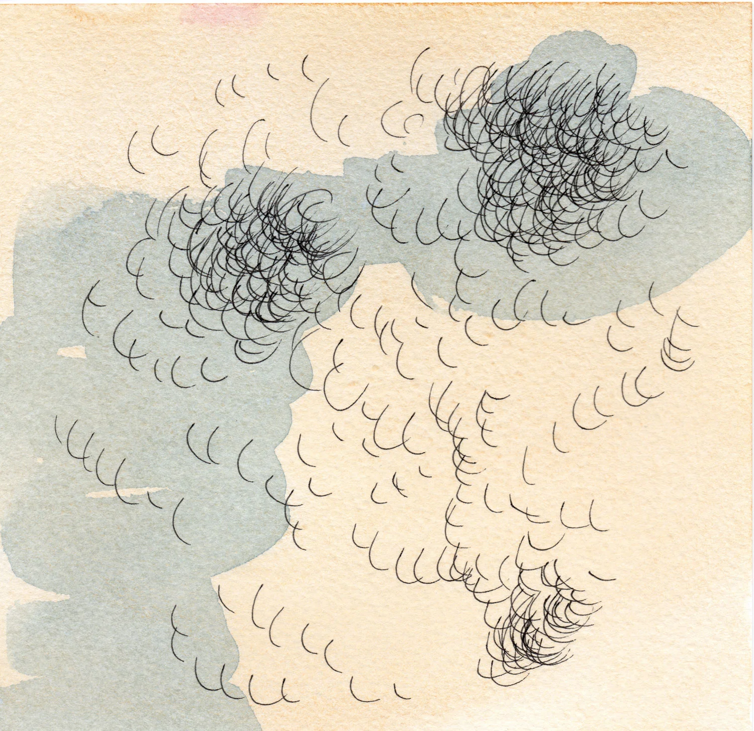 MAPS — Francesca Lancisi