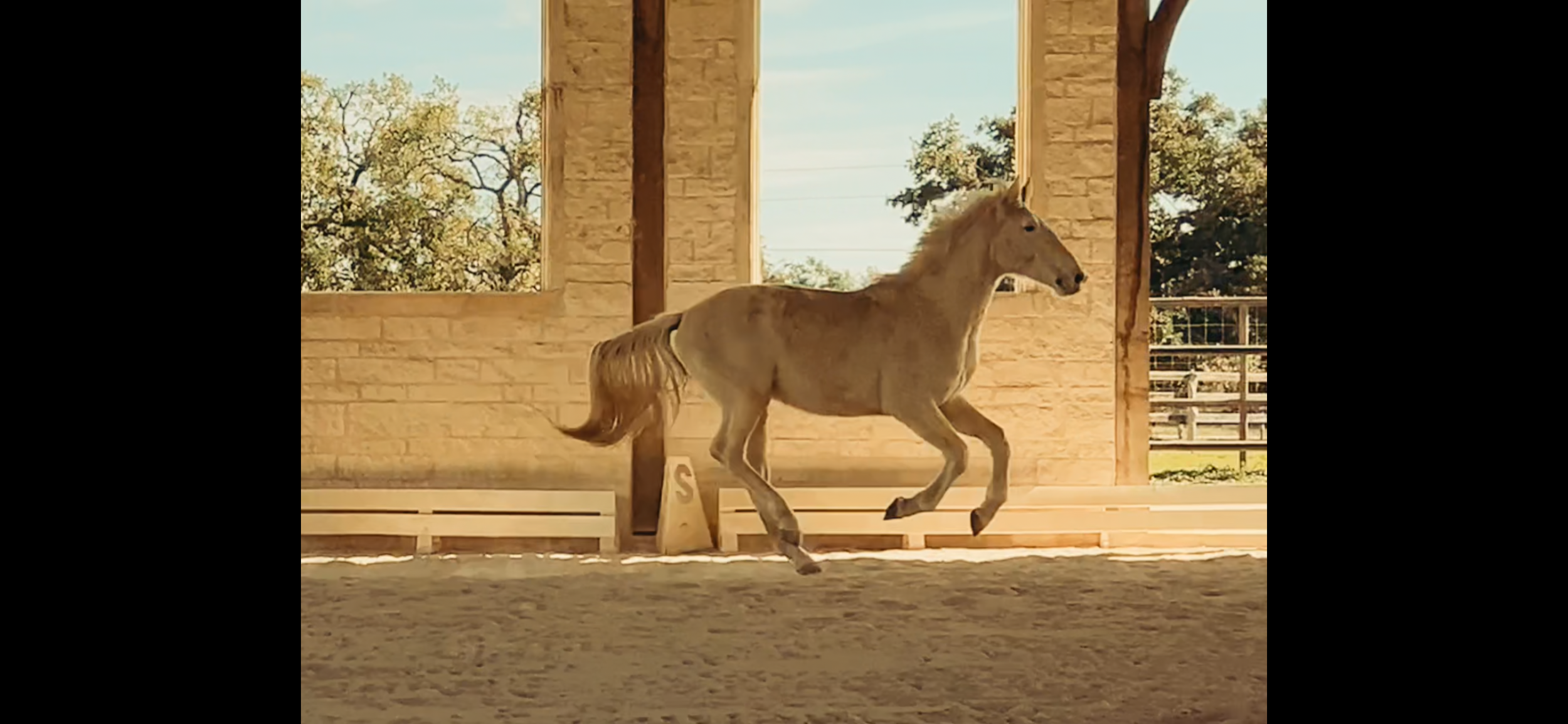 San Juan BRB — Bailey Ranch Breeders