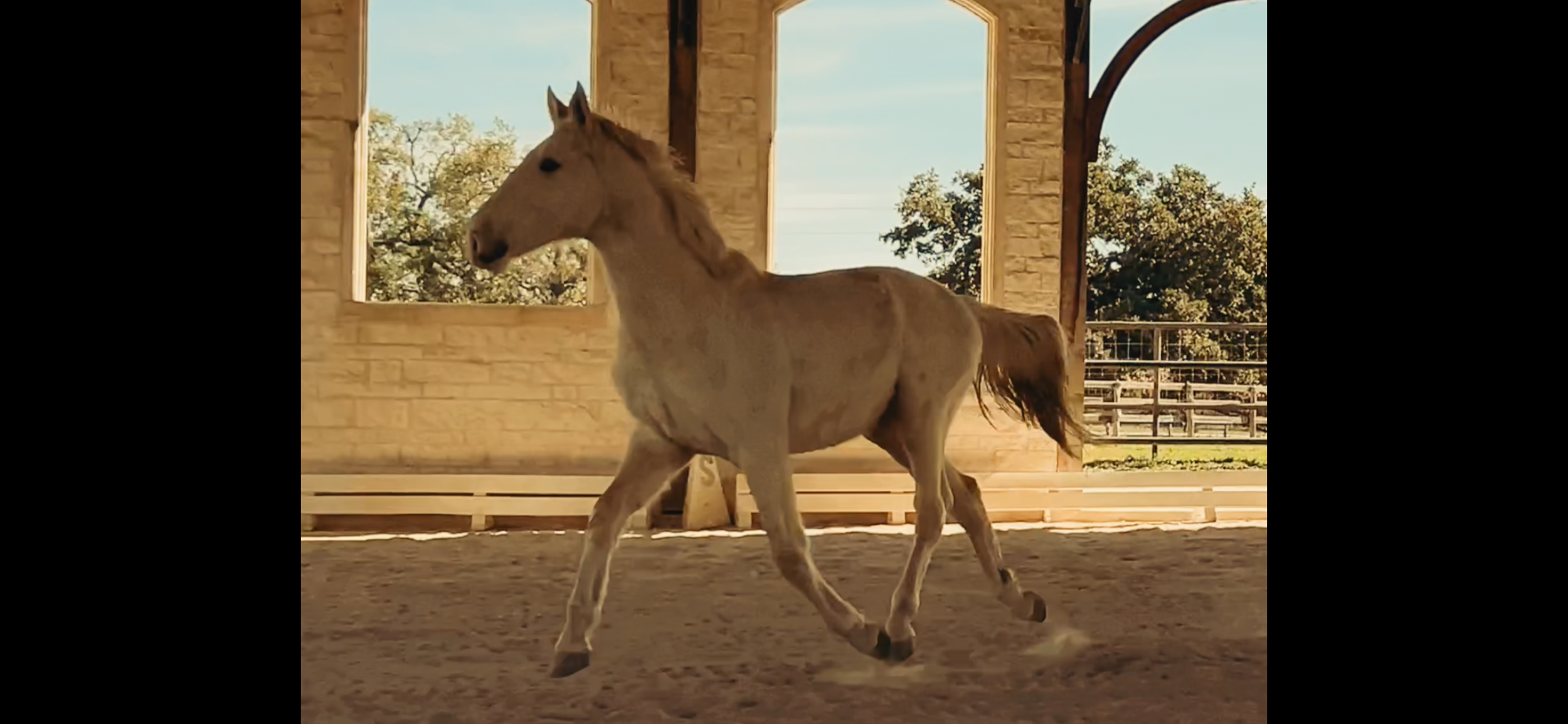 San Juan BRB — Bailey Ranch Breeders