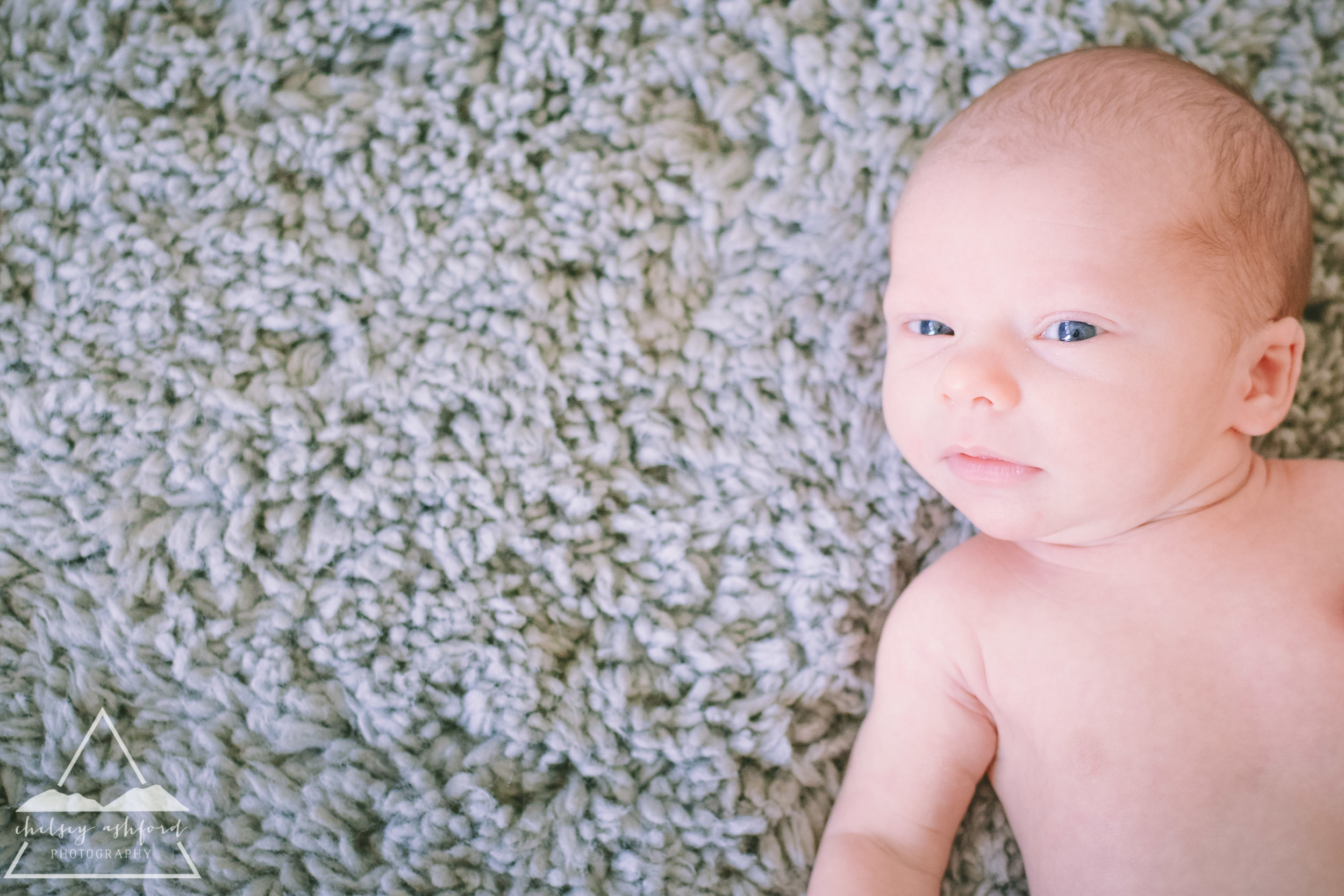 Precious baby boy// Lifestyle Newborn — Chelsey Ashford Photography