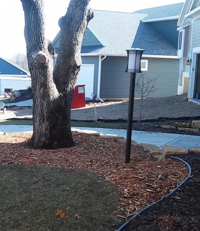 Tree Mulch Rings - Heartwood Tree Co. - Madison WI