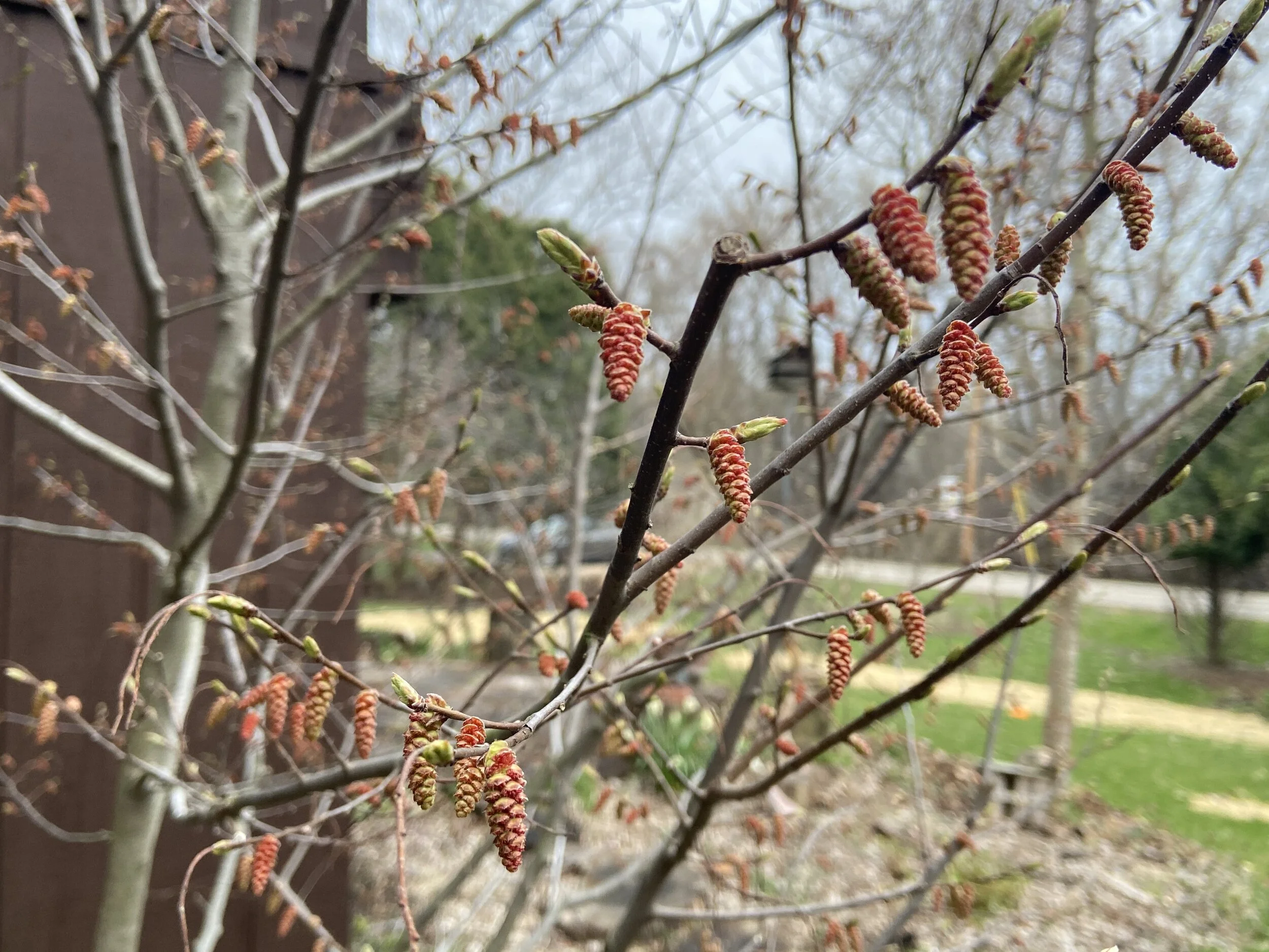 Blog