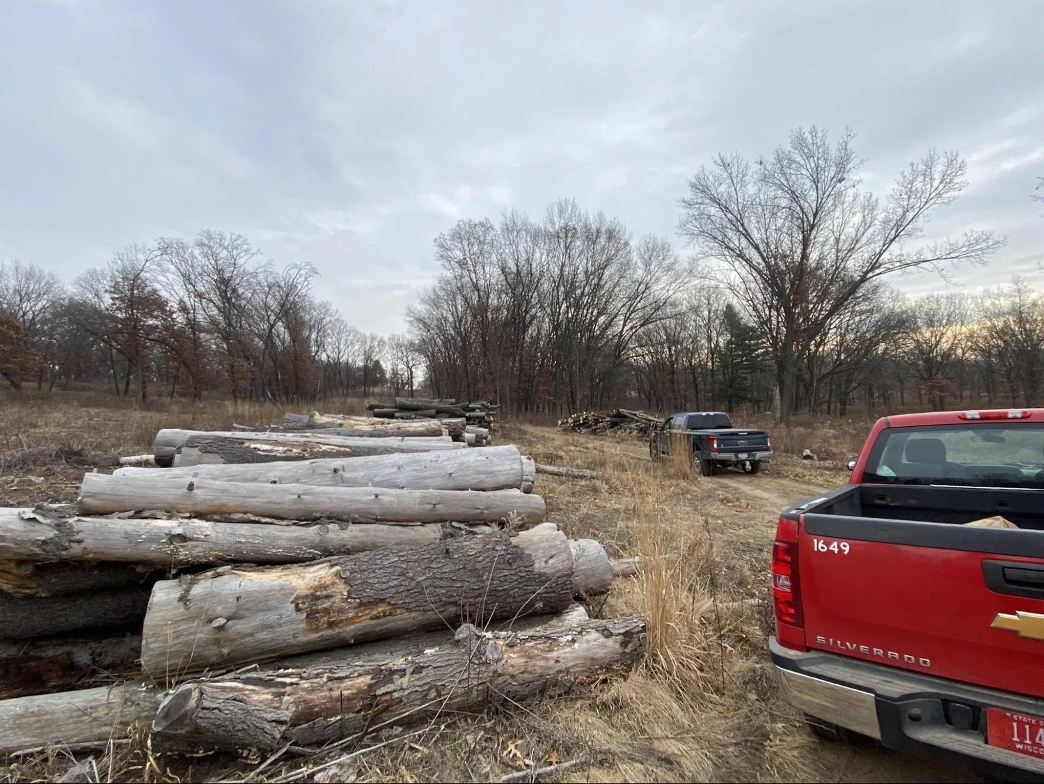 Repurposing Wood for New Construction from UW-Arboretum