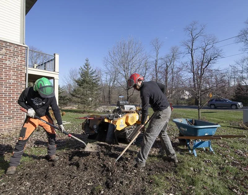 Tree Removal & Stump Grinding - Madison, WI