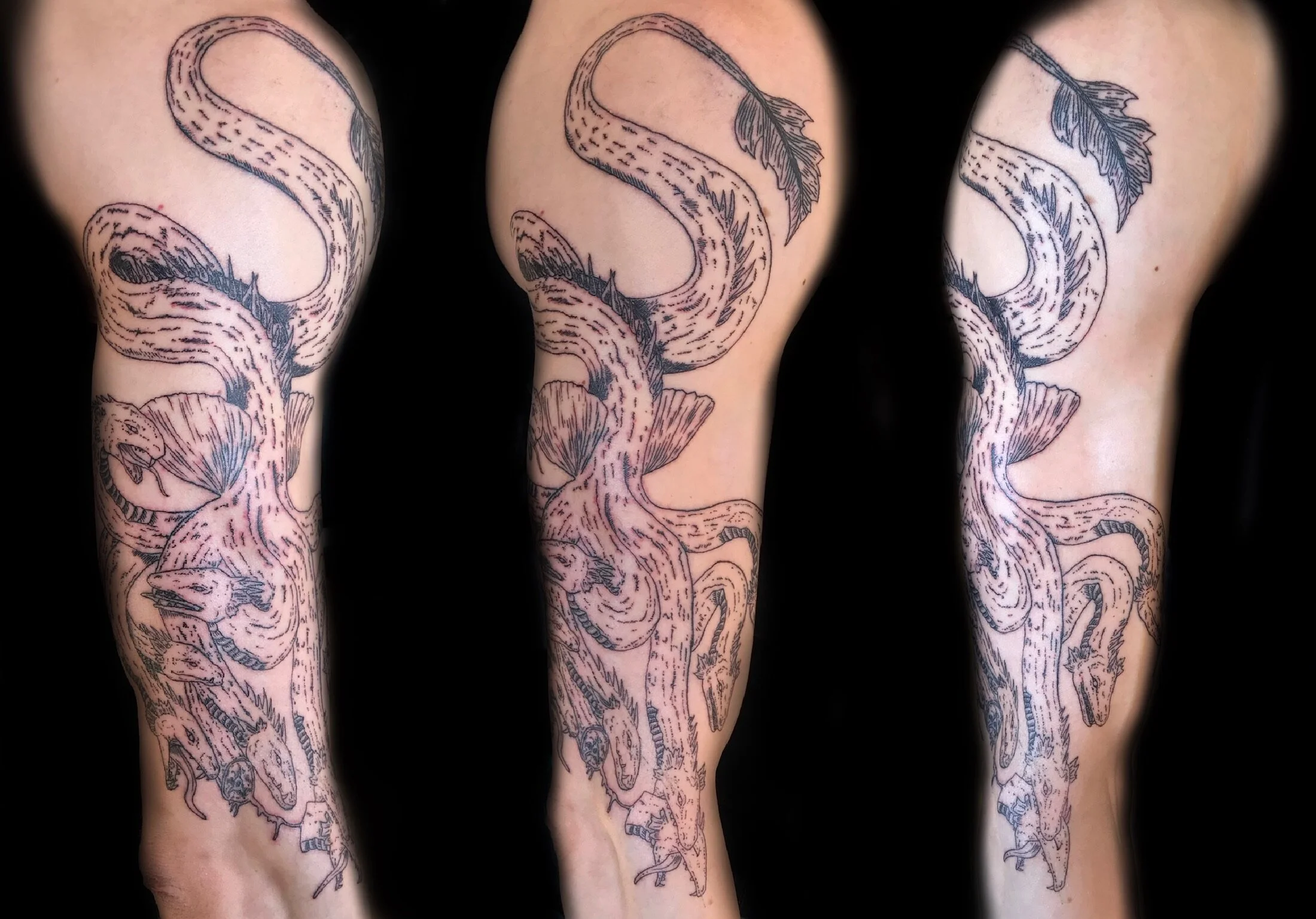 JesPortfolio — Jackalope Tattoo