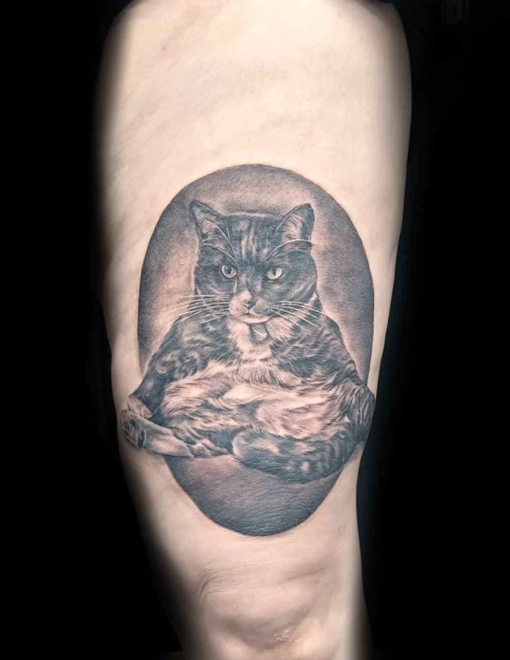 MPortfolio — Jackalope Tattoo