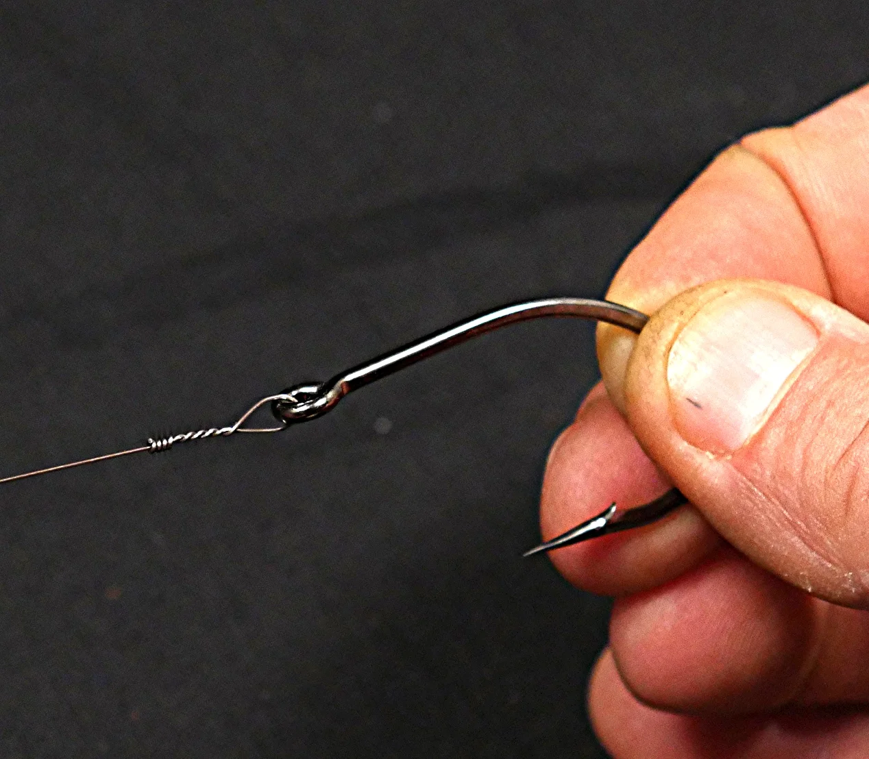 Sharks — Saltwater Experience Fishing