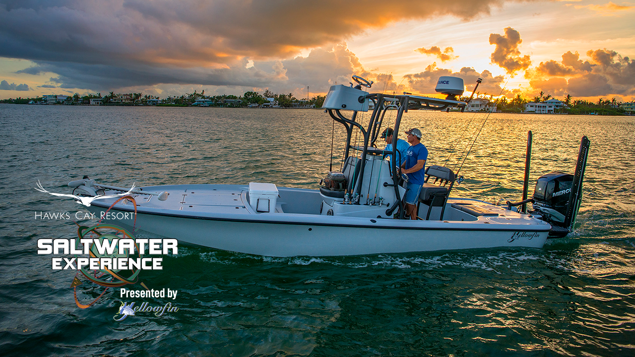 Show — Saltwater Experience Fishing
