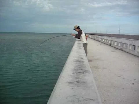 How To Fish The 42 Bridges In The Florida Keys — Saltwater Experience ...
