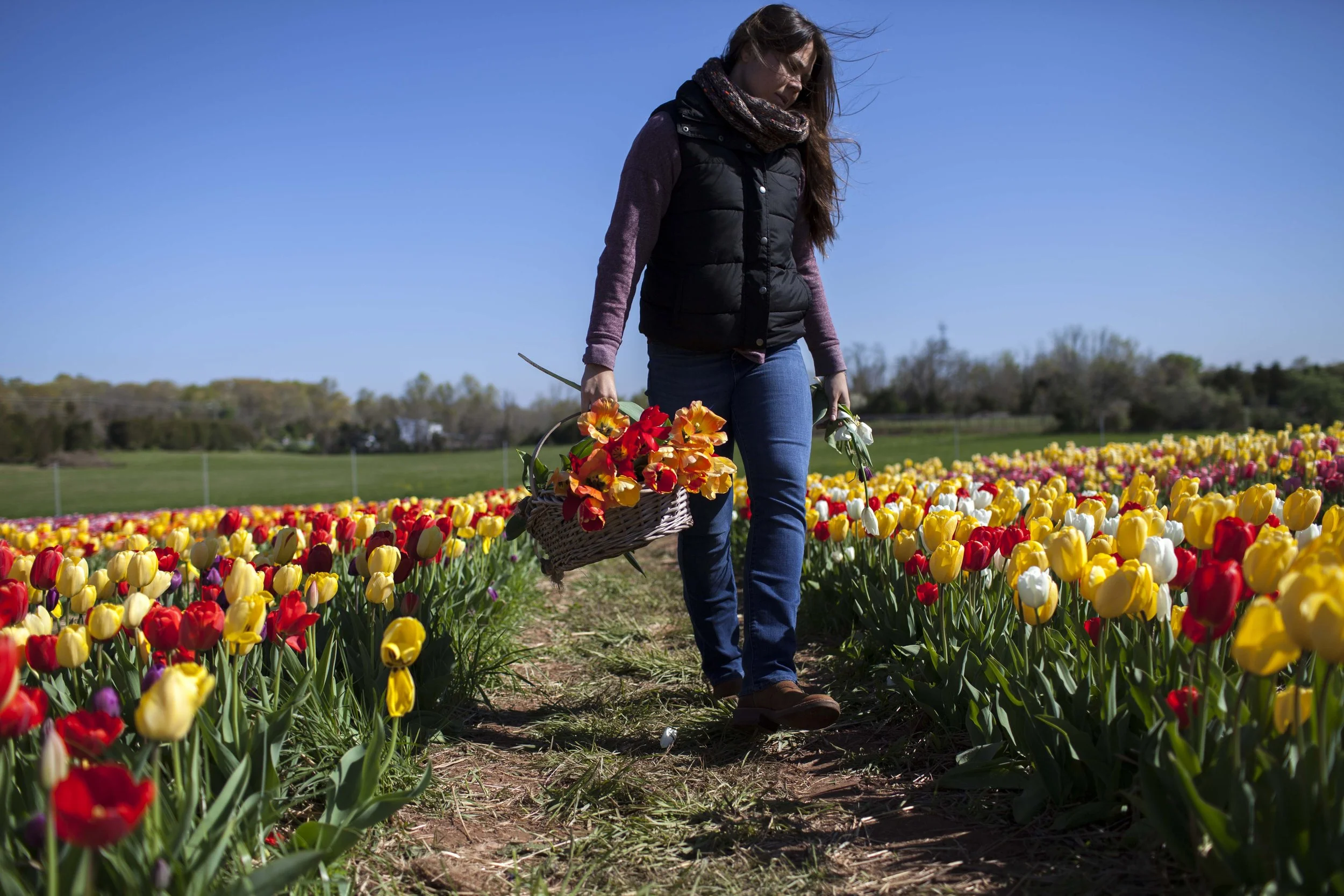 Festival of Spring — Burnside Farms