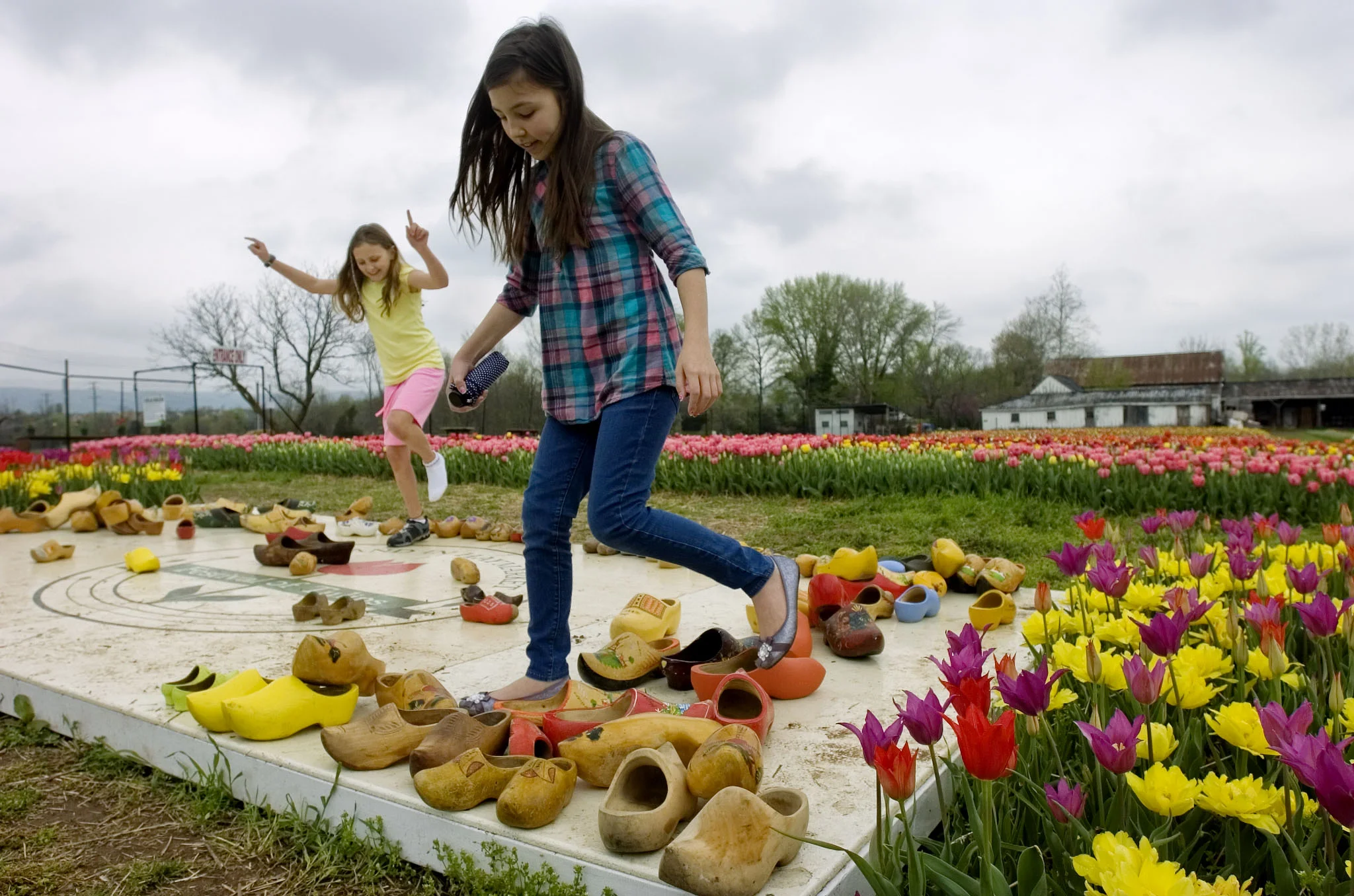 Activities — Burnside Farms