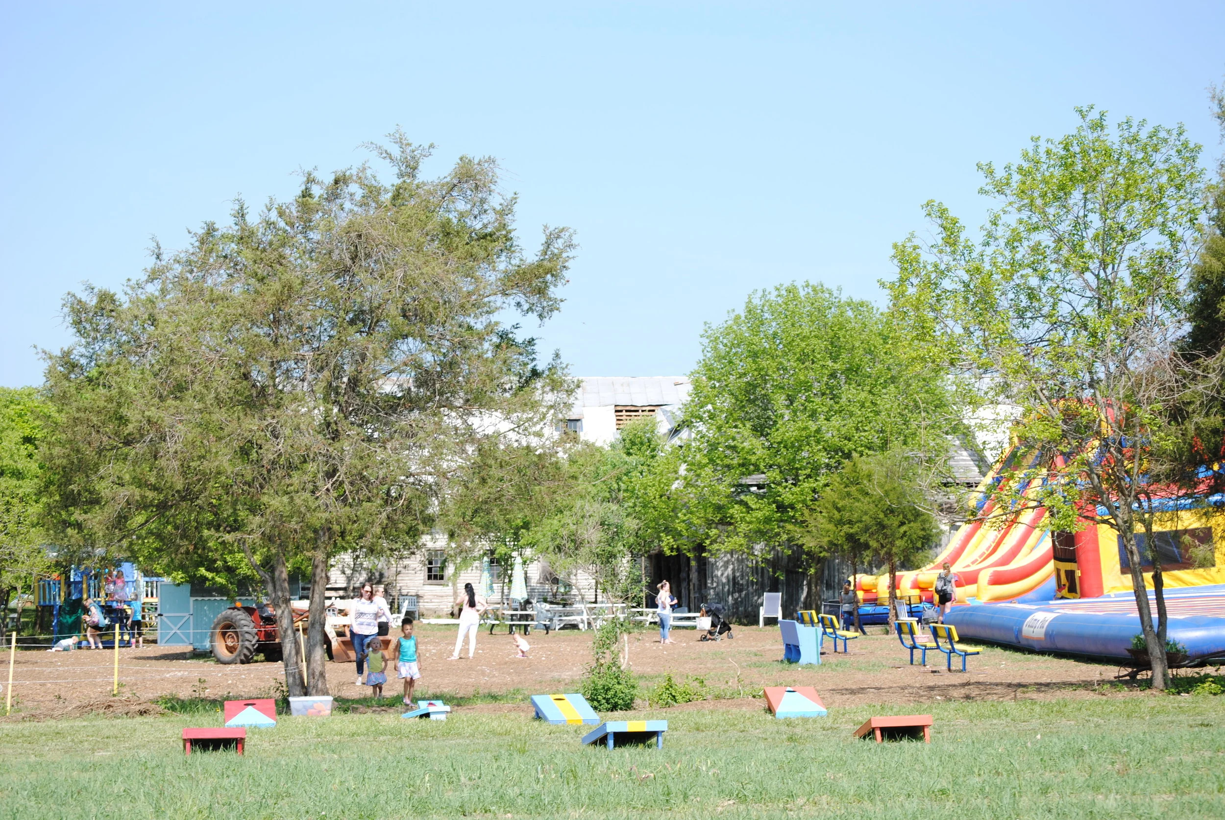 Experience Virginia's only Summer of Sunflowers | Burnside Farms ...