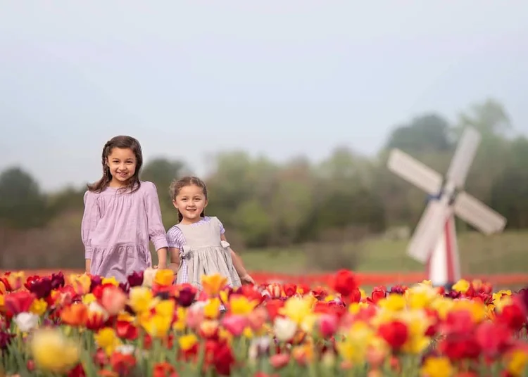 Festival of Spring — Burnside Farms