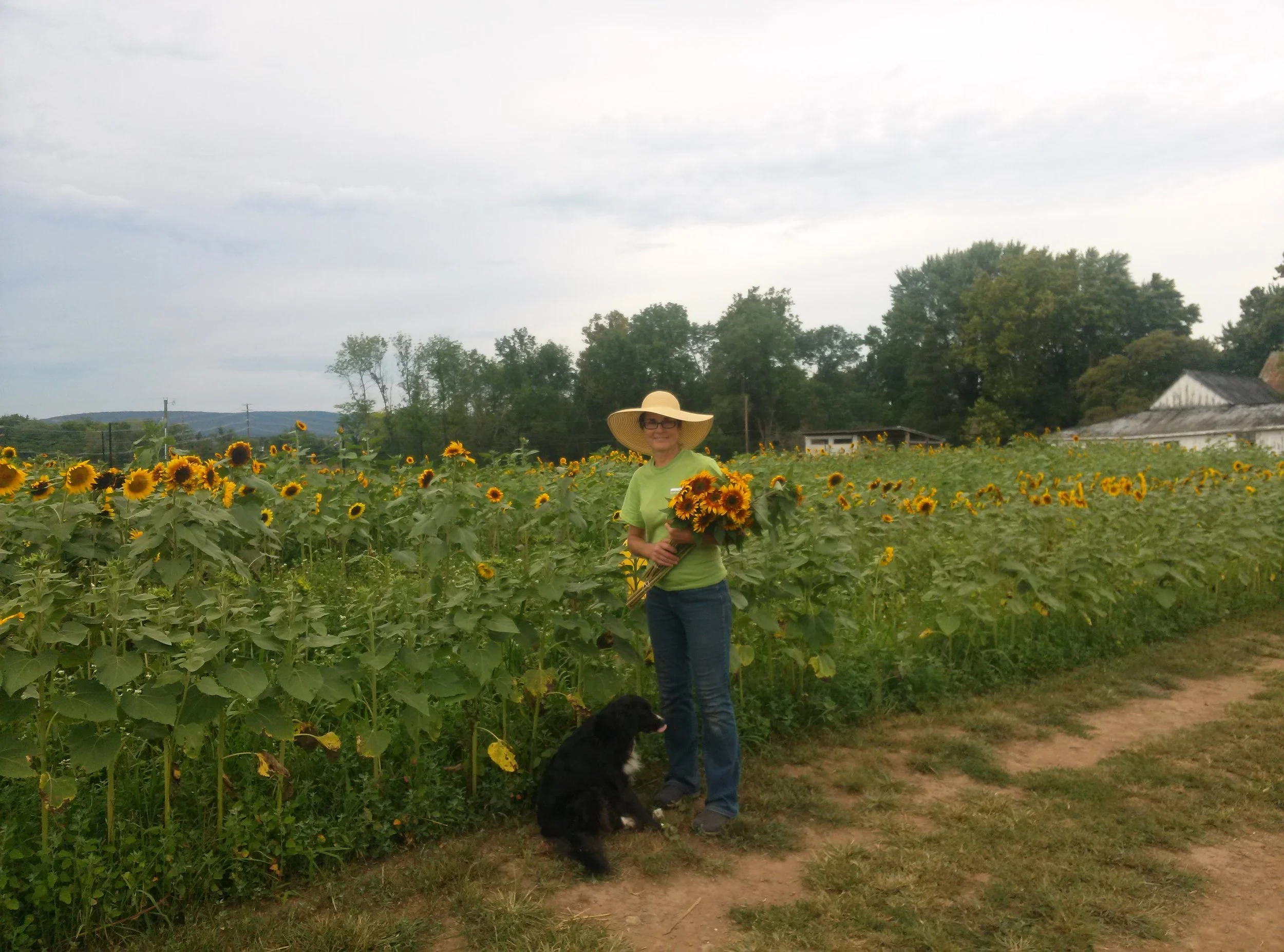 Employment — Burnside Farms