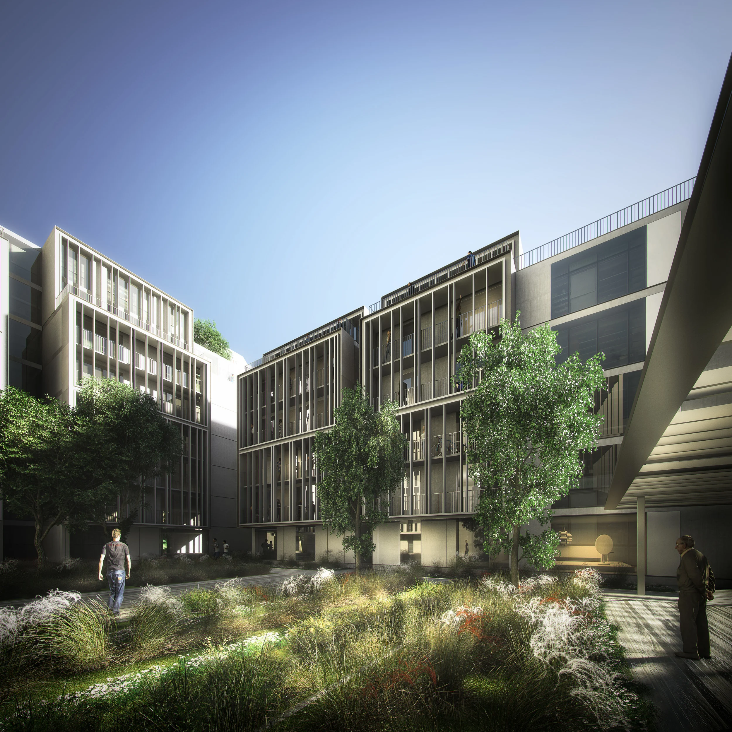 live — Bogle Architects