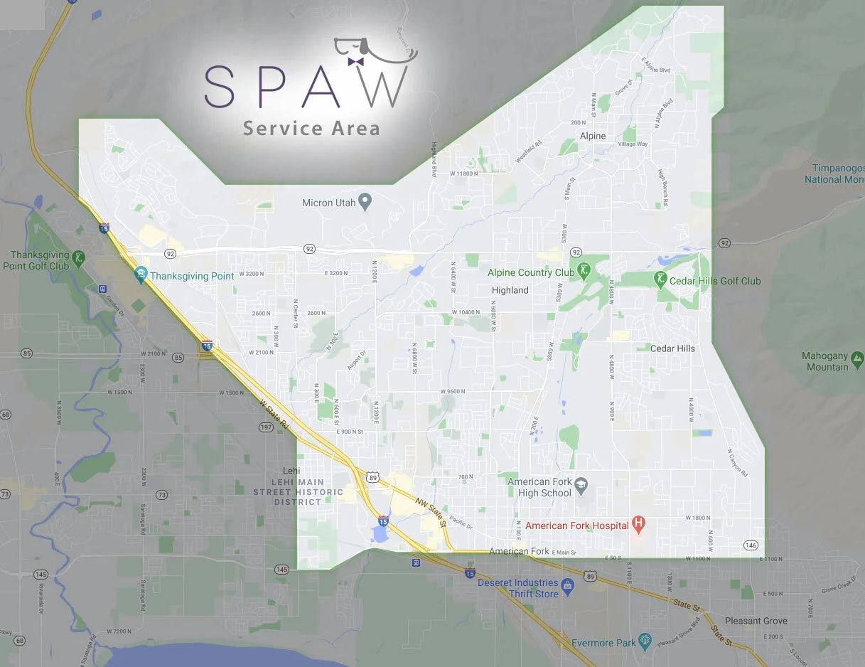 SPAW Modern Grooming