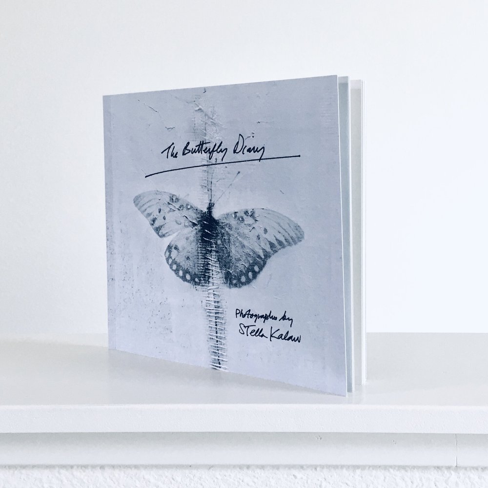 Diary Of A Butterfly