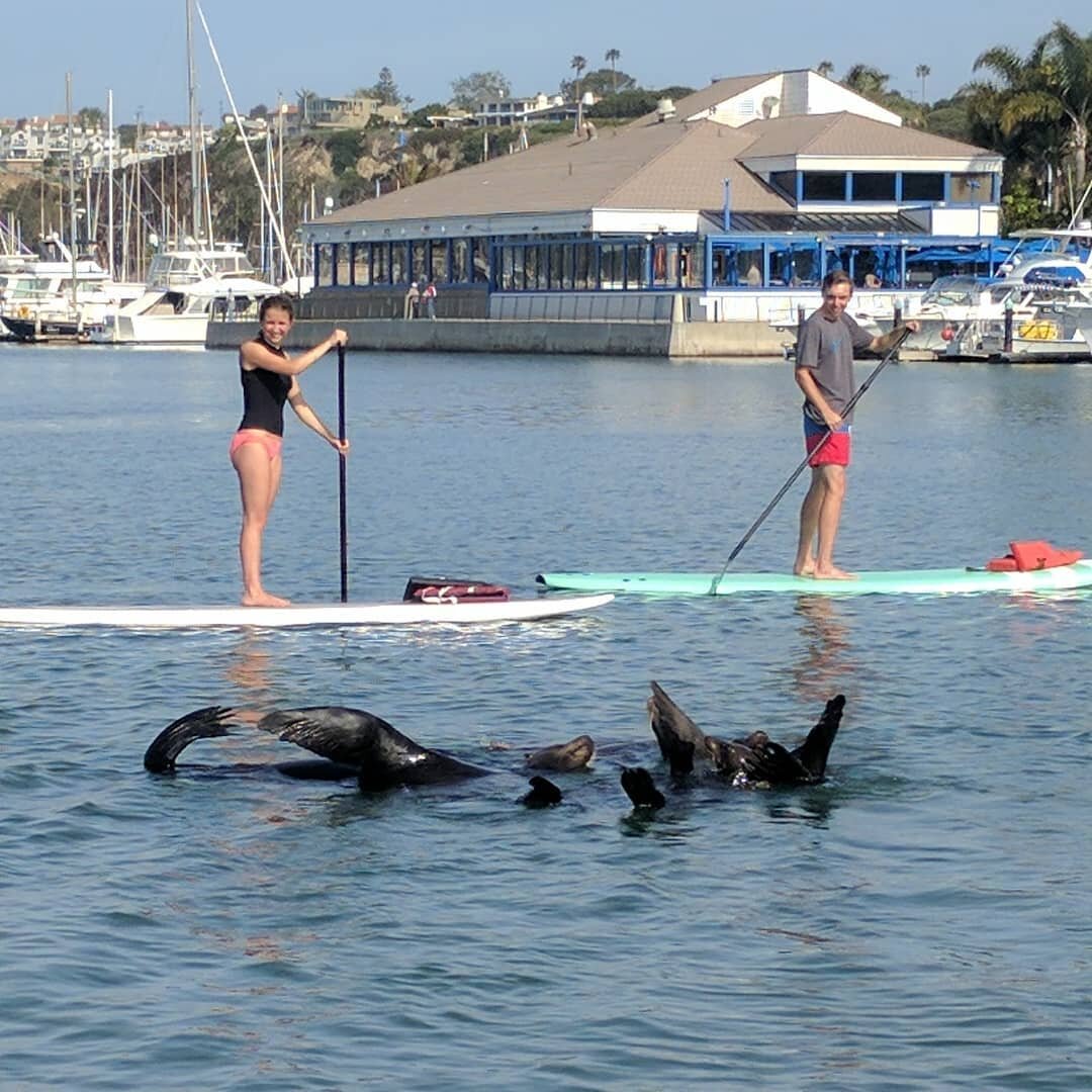 Fresh From the Field — Expert Active