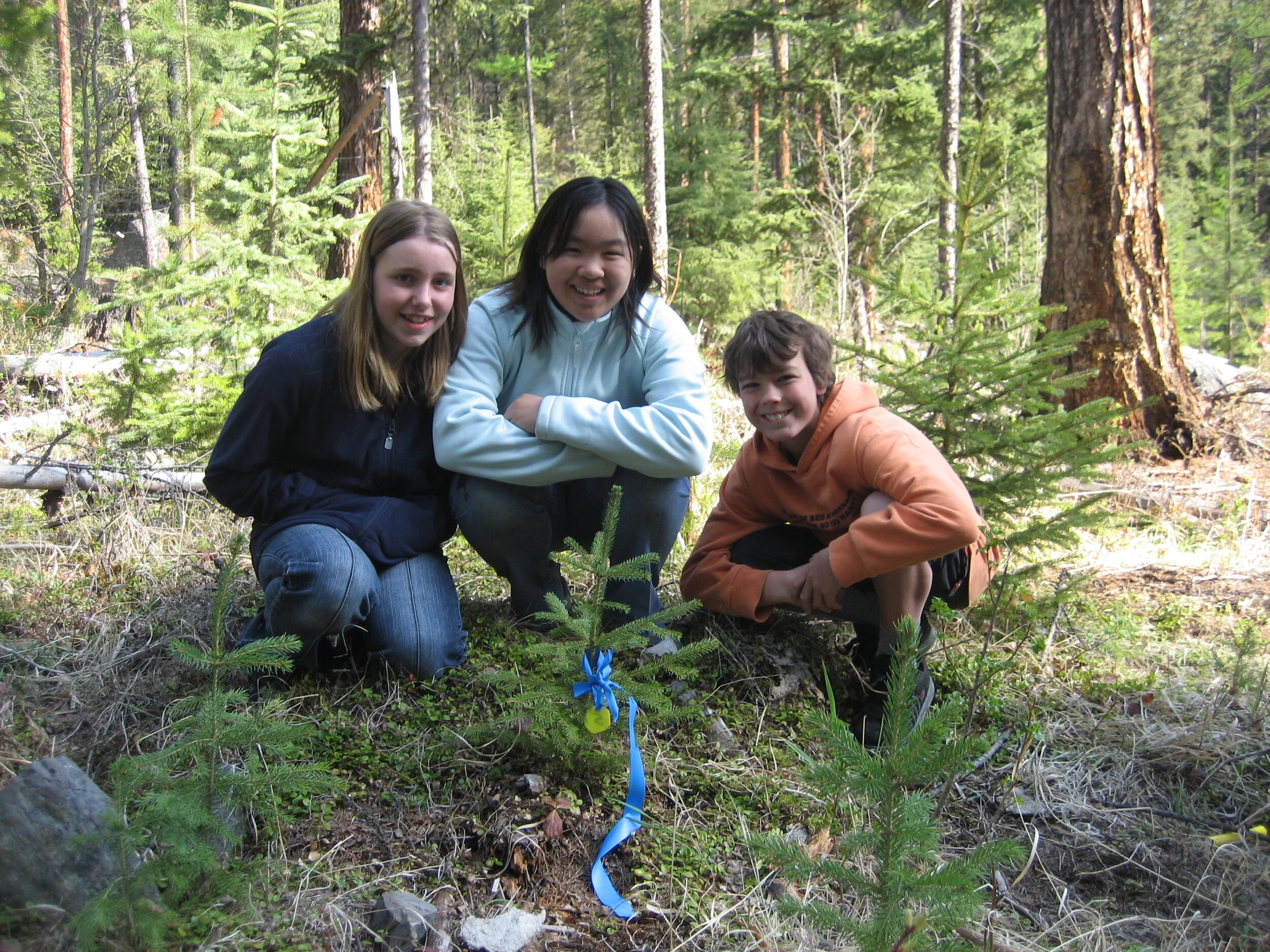 Programming & Activities Class to Camp — Columbia Outdoor School & Blue ...