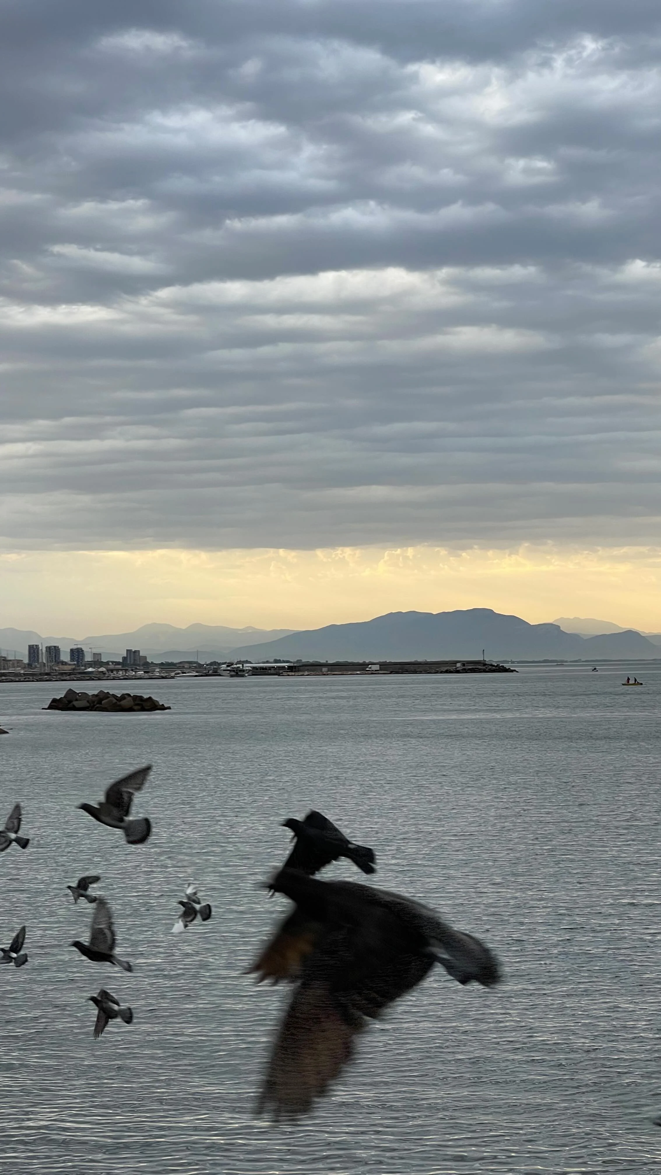 Subtle Differences — EVE DEVORE